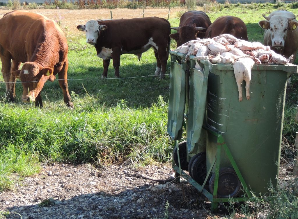 Luk dansk landbrug | Gylle.dk