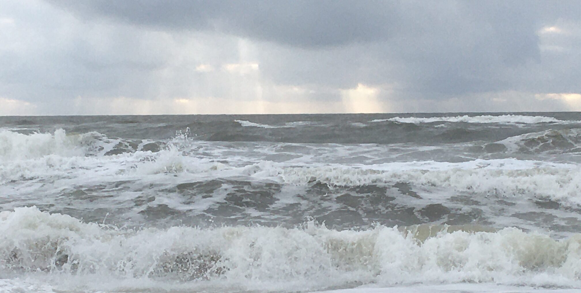 Vort moderlige hav er døende – endnu en gang | Gylle.dk