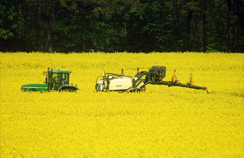 De sprøjter din honning – og det er lovligt | Gylle.dk