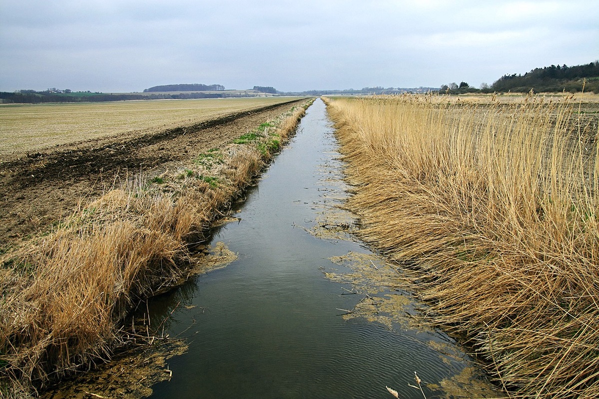 Kolindsund Sø kan hjælpe havet | Gylle.dk