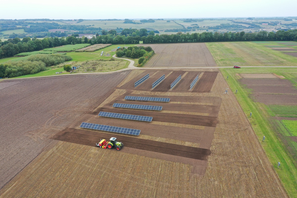 Dobbelt høst: Solpaneler og afgrøder kan dele mark – uden tab | Gylle.dk